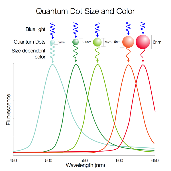 Quantum Dots: Nanotechnology Meets Displays | Radiant Vision Systems Quantum Dots: Nanotechnology Meets Displays | Radiant Vision Systems